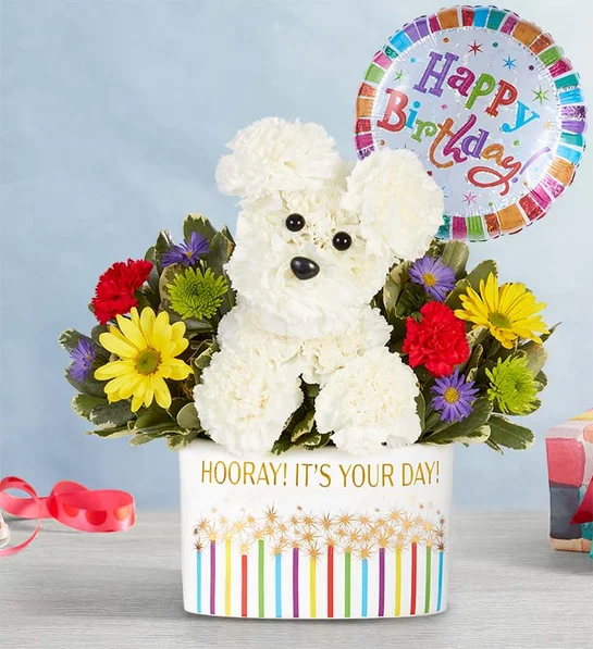 Party Pooch™ - Flowers Freehold